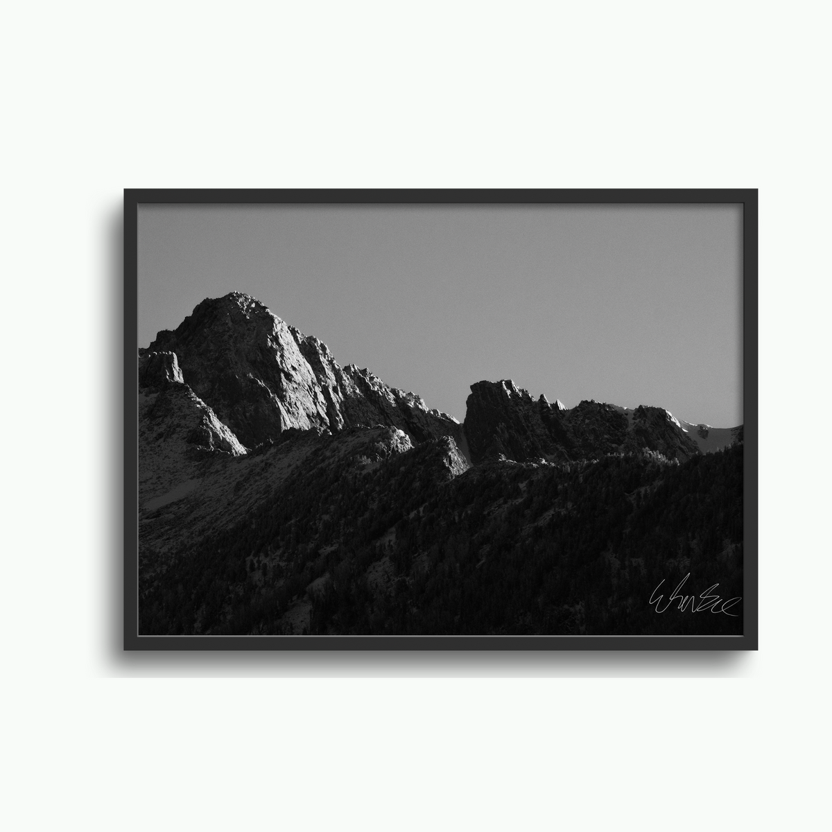 Beehive Headshot - Western Photography