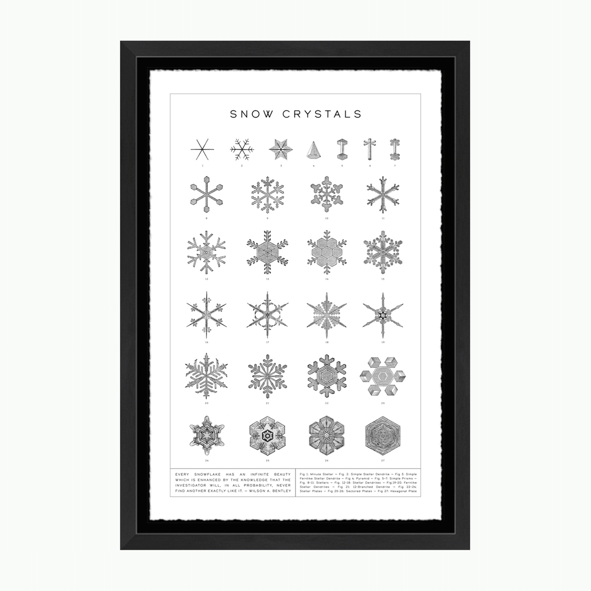 Snow Crystal Chart - Montana Art Prints